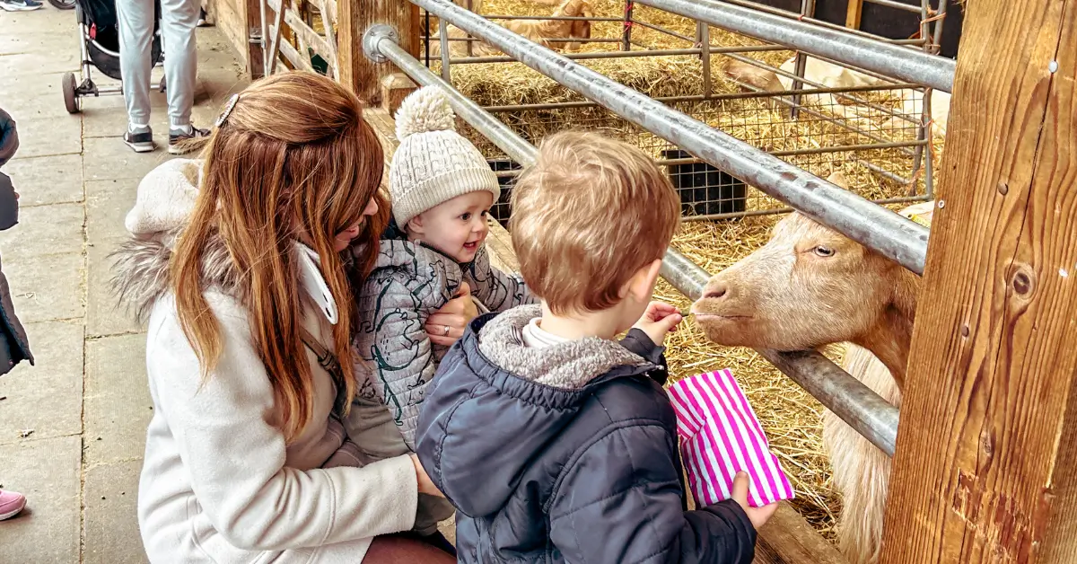 The Best City Farms In London: Animal Fun For Kids - Alex Jessica Mills